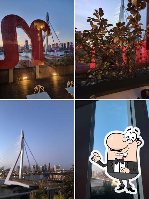 Gastrobar Elvy - nhow, Rotterdam - Restaurant menu, prices and reviews