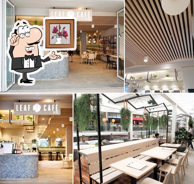 Leaf Cafe & Co Brookvale in Brookvale - Restaurant reviews