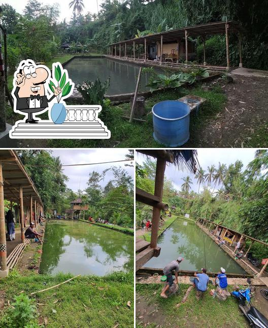 Kolam pancing PINGKAL TIRA cafe, Babadan - Restaurant reviews