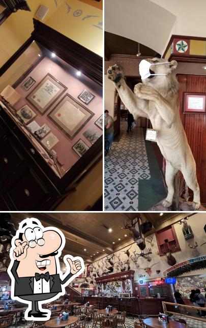 The Buckhorn Saloon & Museum in San Antonio - Restaurant menu and reviews