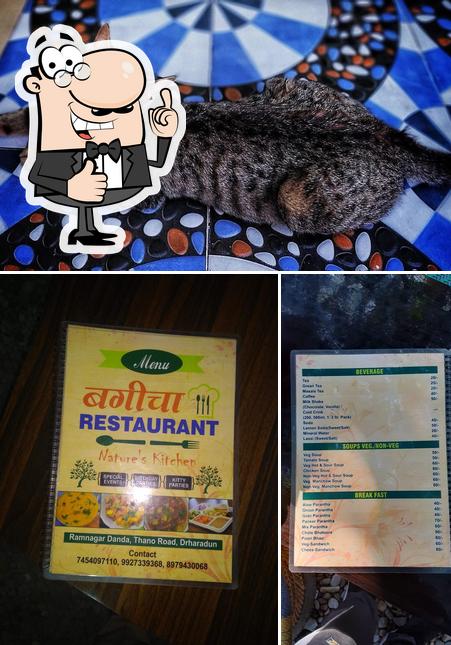 Bageecha Restaurant - Restaurant menu, prices and reviews