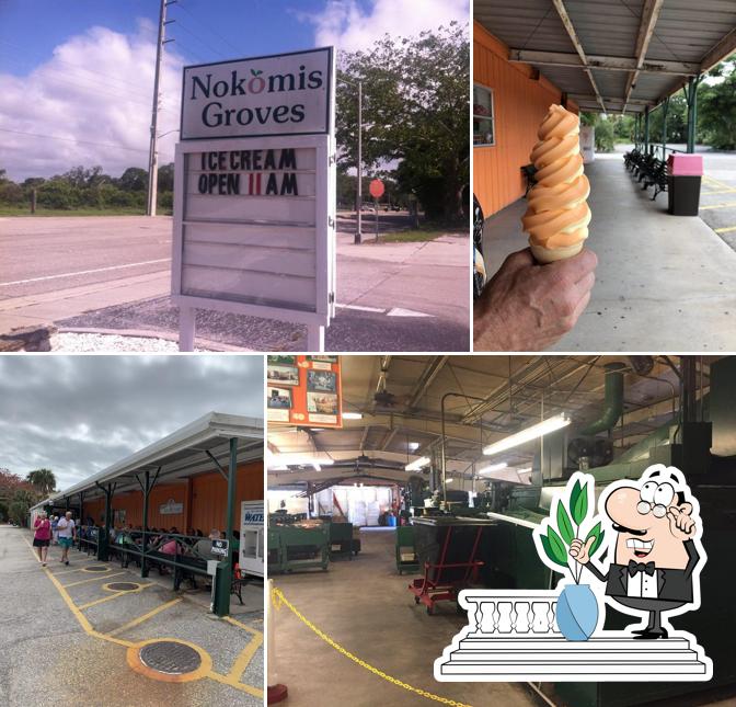 Nokomis Groves in Nokomis - Restaurant menu and reviews