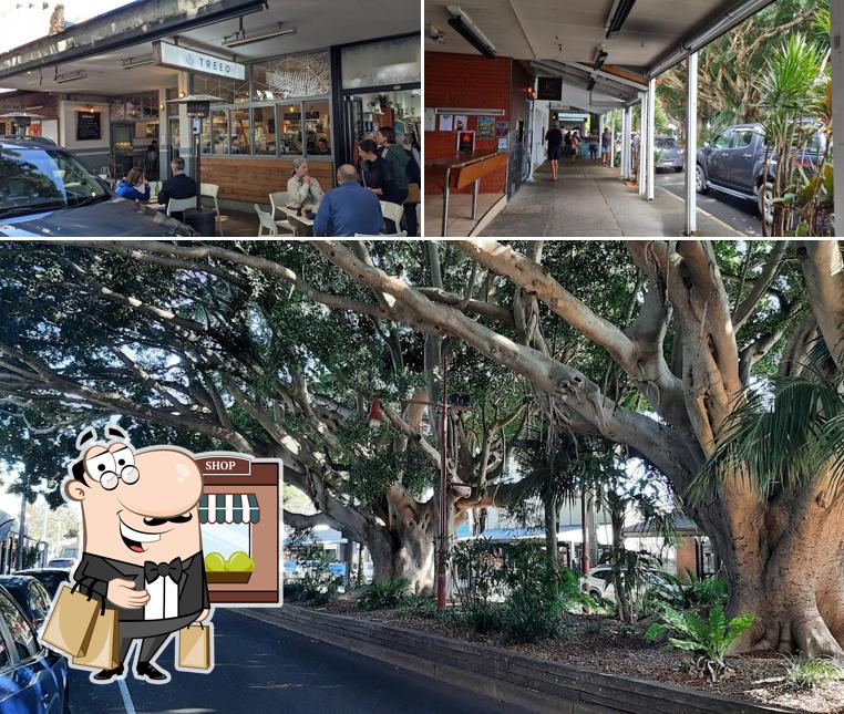 Cafe Treeo, Sawtell - Restaurant menu, prices and reviews