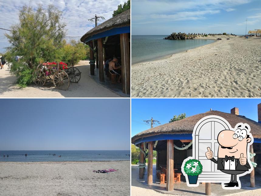 Restaurant Gura Portitei, Gura Portiței - Restaurant reviews