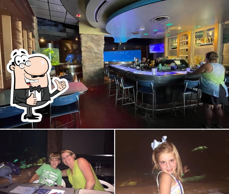 Sharks Underwater Grill, Orlando - Restaurant menu, prices and reviews