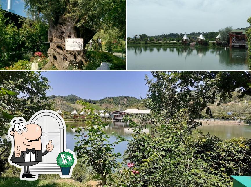 Agritourism Huqi, Radë - Restaurant menu, prices and reviews