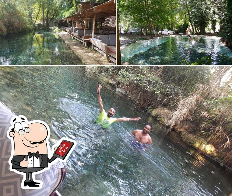 Gizli Cennet, Turkey - Restaurant reviews
