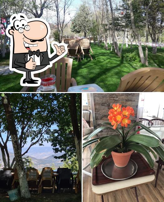 Tunç Dinlenme Tesisi, Turkey - Restaurant reviews
