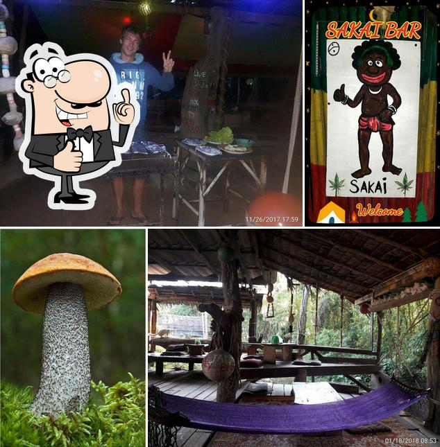 Sakai Bar, Ko Lanta Yai - Restaurant reviews