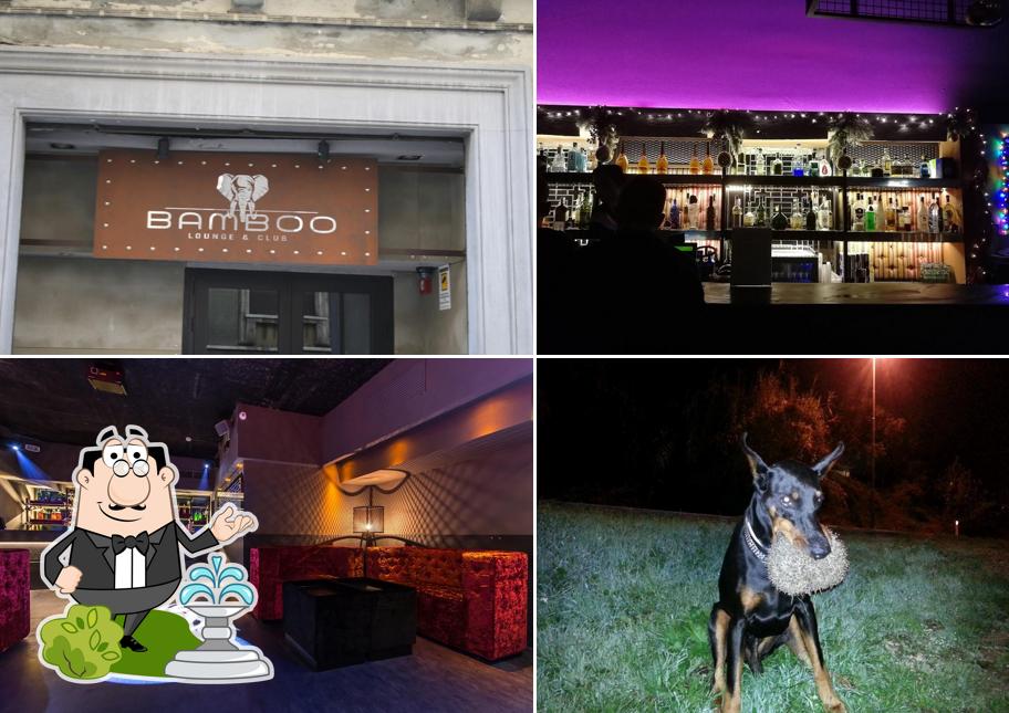 Bamboo Lounge & Club, Firenze - Menu del ristorante, prezzi e recensioni