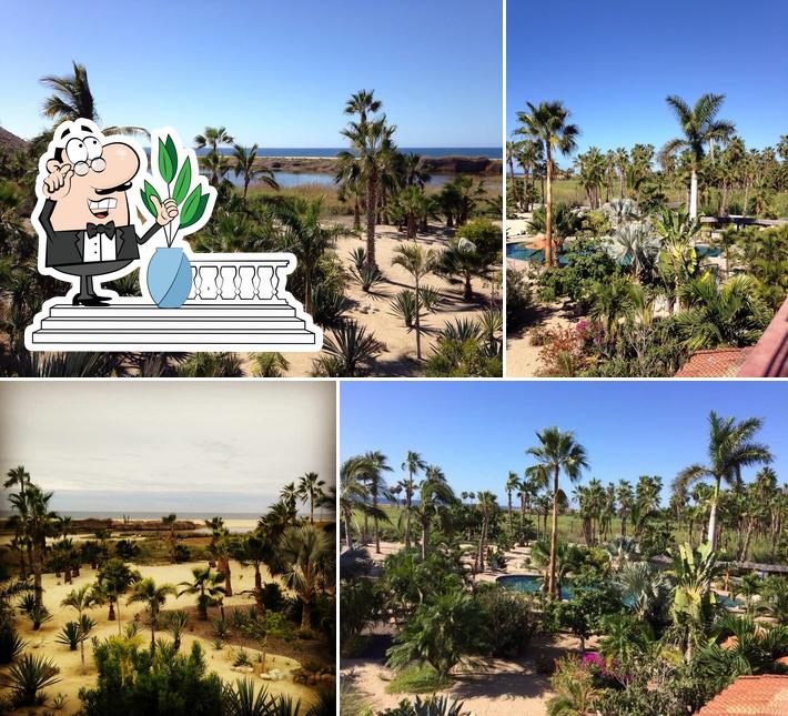 Posada La Poza, Todos Santos - Restaurant menu, prices and reviews