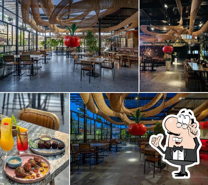 QUAD Bar & Kitchen, Hyderabad - Restaurant menu, prices and reviews