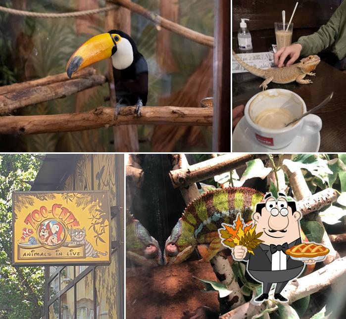Zoo Café cafe, Budapest - Restaurant menu and reviews