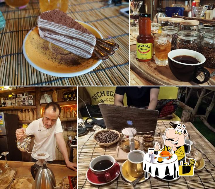 Bechegu Coffee @ King Mengrai Camp plant nursery, Mueang Chiang Rai ...