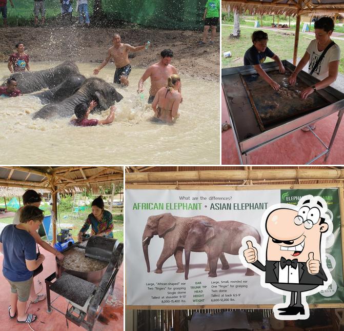 Heart Shape & Elephant Care Samui, Ko Samui - Restaurant reviews
