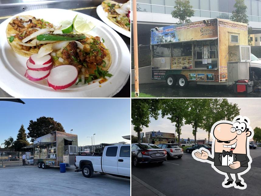 Cato's Tacos Food Truck in Sunnyvale - Restaurant menu and reviews