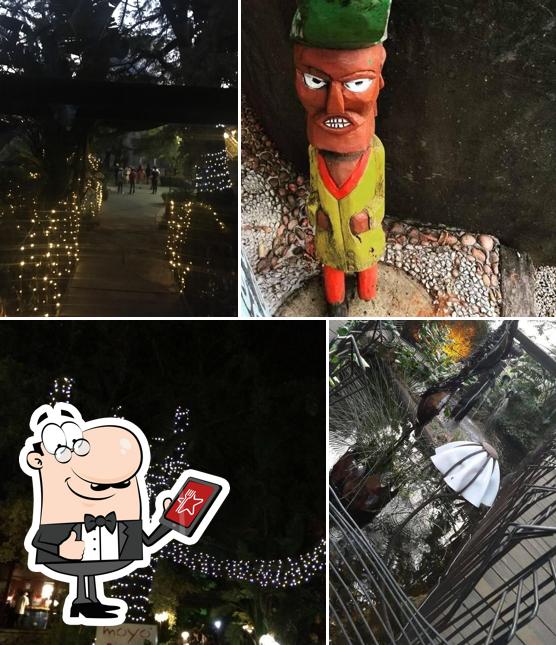 moyo Zoo Lake, Randburg - Restaurant menu, prices and reviews