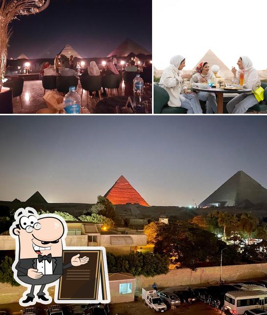 Tree Lounge Pyramids Branch, Giza - Restaurant menu, prices and reviews