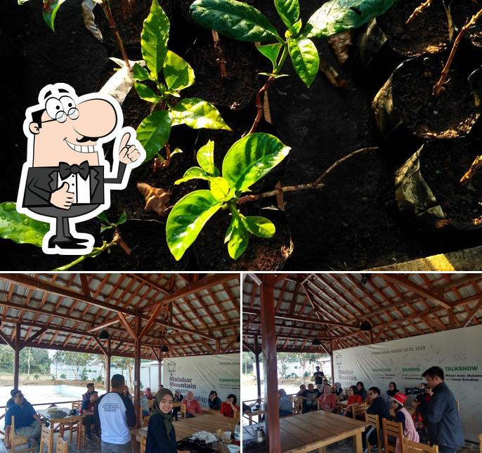 Studio Cemara-Attaris cafe, Pangalengan, Taman Kebon Kopi Blok.C No.224 ...