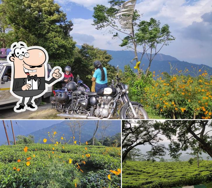 Peshok view point, Peshok Tea Garden - Restaurant reviews