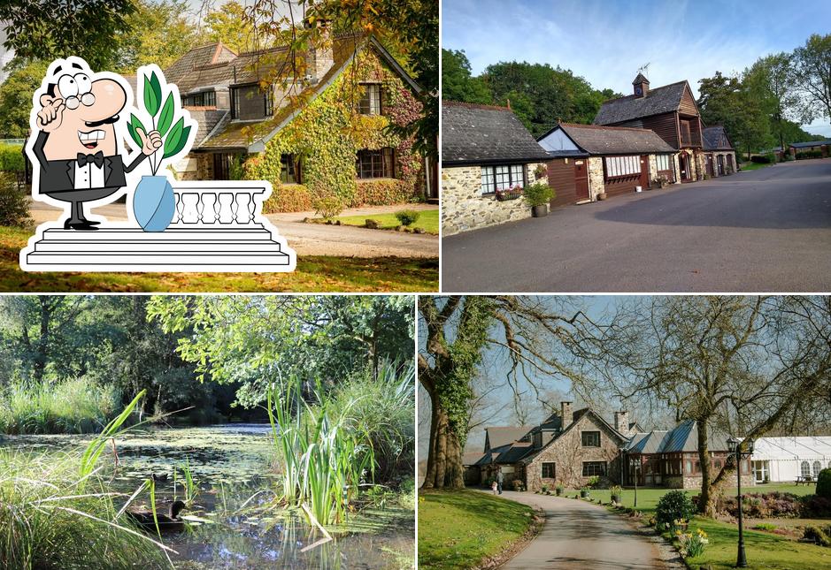 Lakeview Manor in Dunkeswell - Restaurant menu and reviews