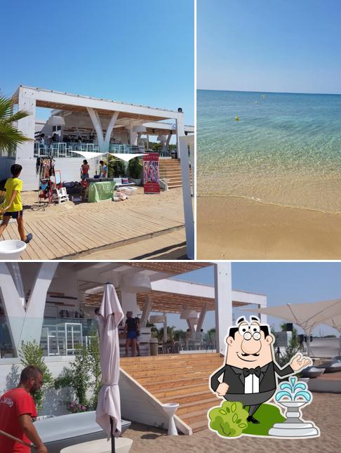 Tayga Beach, Campomarino - Opiniones del restaurante