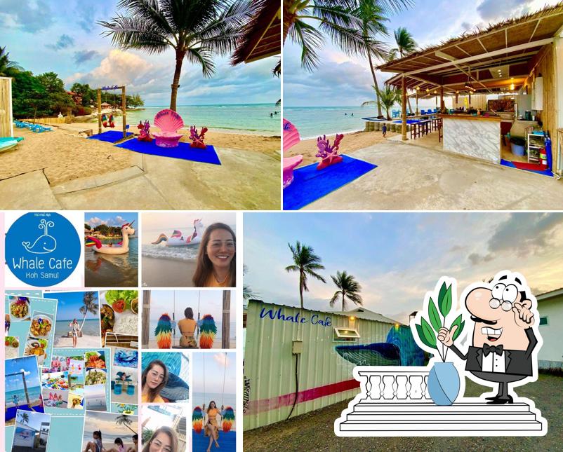 Whale cafe, Ko Samui - Restaurant menu, prices and reviews