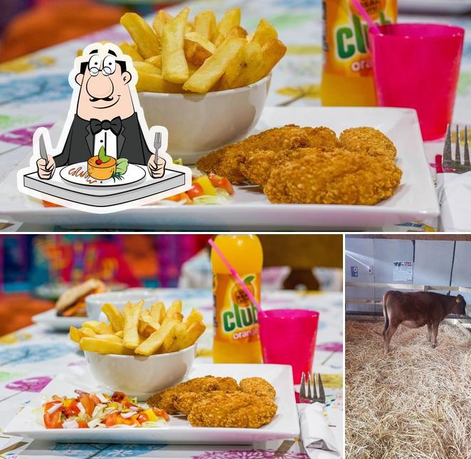 The Ark Puddenhill - Restaurant menu, prices and reviews