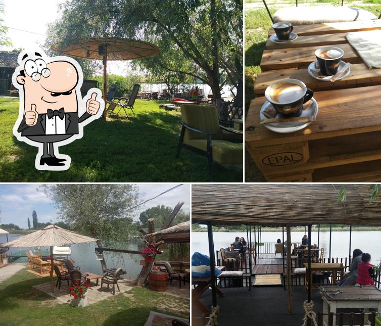 Tiha tisa restaurant, Čurug - Restaurant reviews
