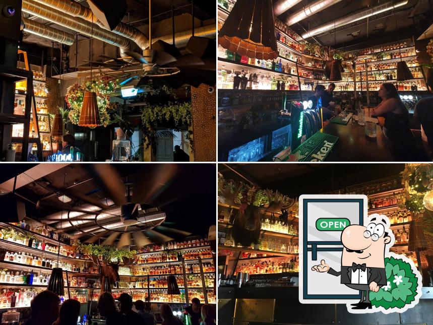 Little Headquarters in Auckland - Restaurant reviews