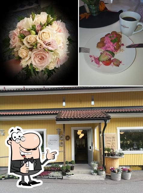 Mor & Dotter cafeteria, Sweden - Restaurant reviews