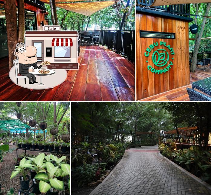 Nimo Brew, Lapu-Lapu City - Restaurant menu, prices and reviews