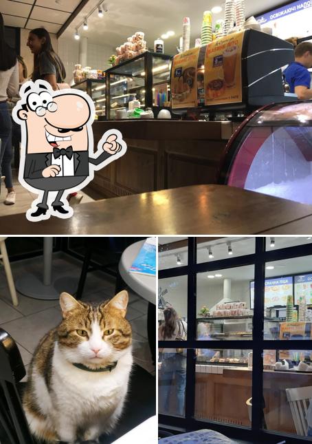Fransua, French Coffee Shop, Odessa - Menu du restaurant, prix et avis