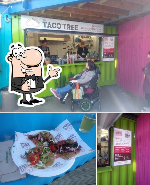 The Taco Tree in Reading - Restaurant reviews