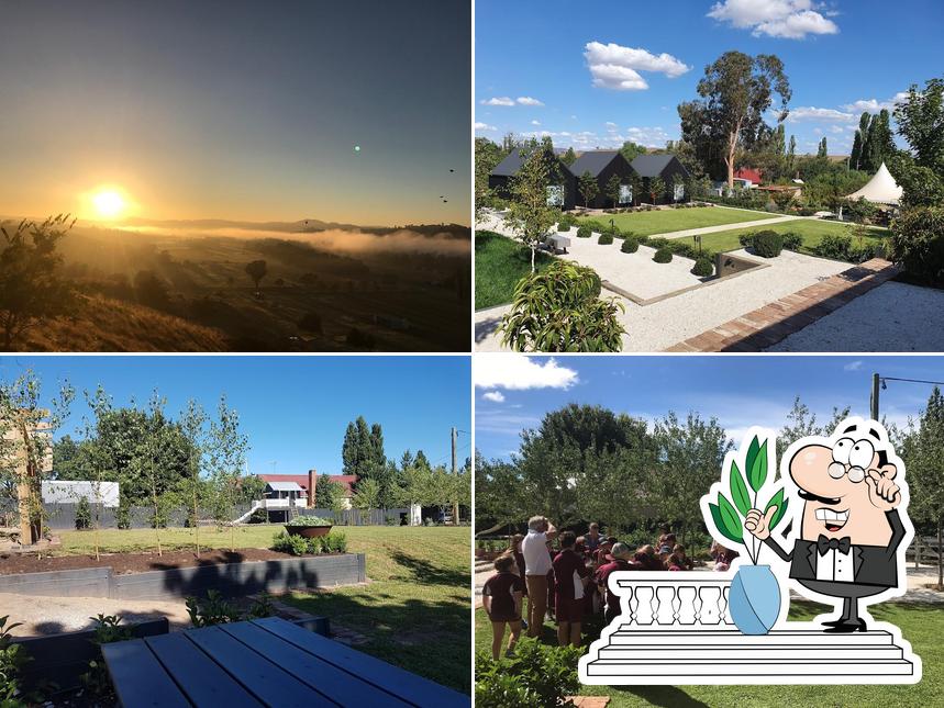 The Sir George in Jugiong - Restaurant menu and reviews