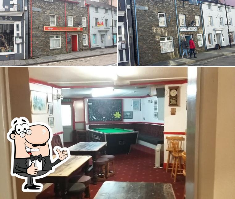 Ivy Bush Inn in Lampeter - Restaurant reviews