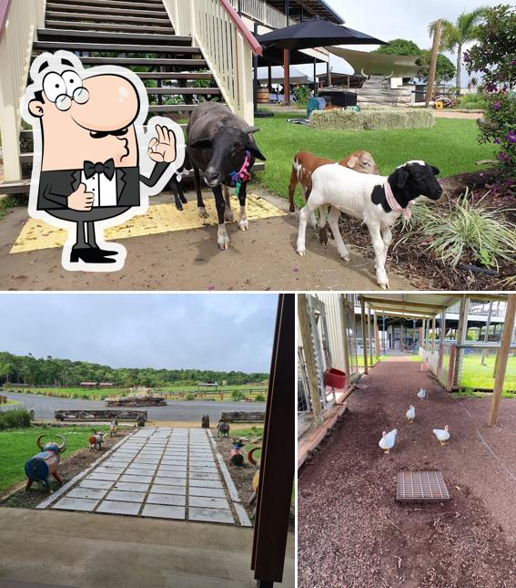 KUR-Cow Barnwell Farm, Kuranda - Restaurant menu, prices and reviews