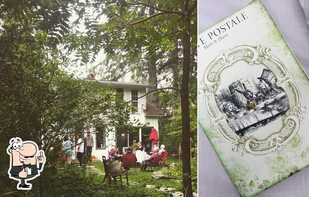 Rumi's Cafe at the Abode in New Lebanon - Restaurant reviews