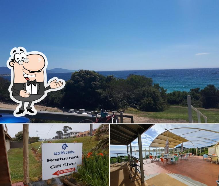 Sealife Restaurant&Café in Bicheno - Restaurant menu and reviews