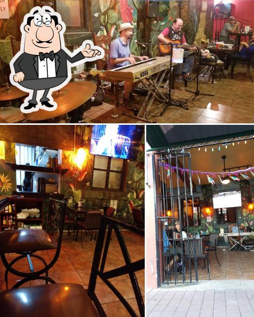 Macaws Bar & Bistro, Mazatlán - Restaurant menu, prices and reviews