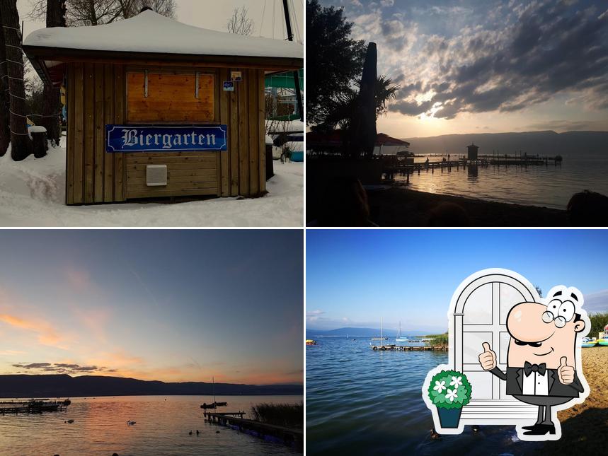 Alphasurf, Estavayer-le-Lac - Restaurant reviews