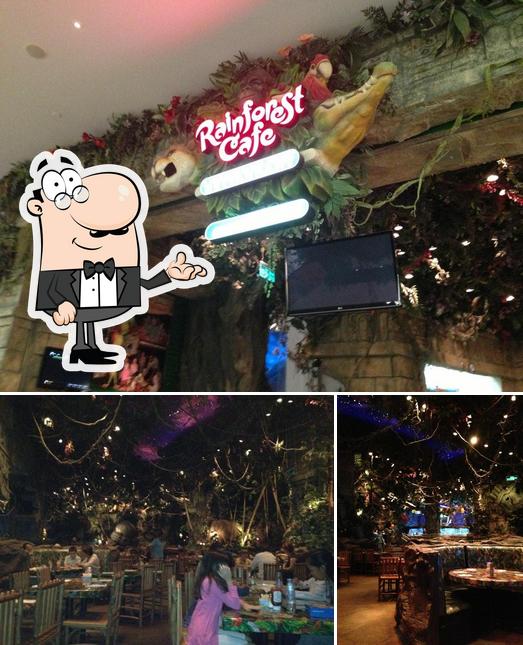 Rainforest Cafe Dubai Mall, Dubai - Restaurant menu, prices and reviews