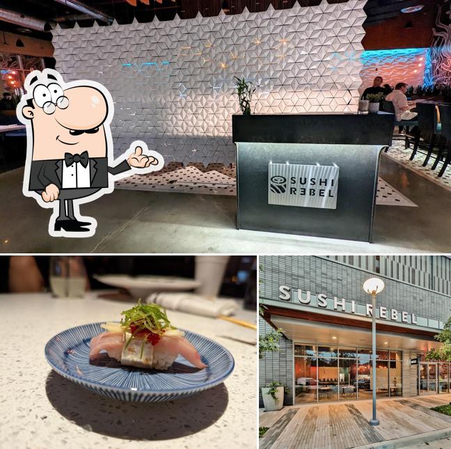 Sushi Rebel in Spring - Restaurant reviews