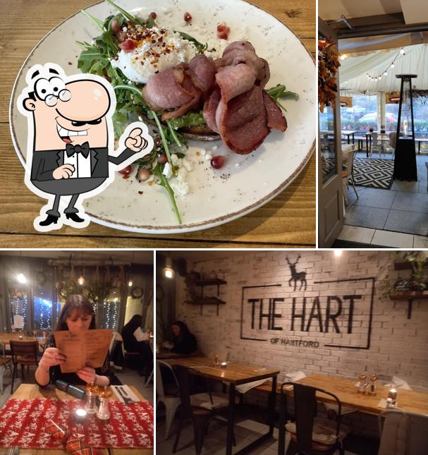 The Hart of Hartford, Northwich - Restaurant menu, prices and reviews