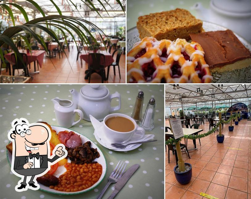 The Palm House Restaurant in Chichester - Restaurant reviews