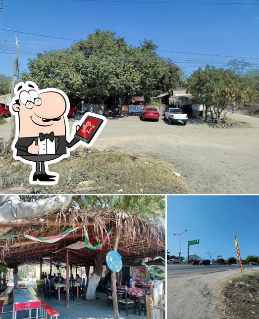 Los 5 mejores restaurantes en El Castillo, Sinaloa, julio 2025 ...