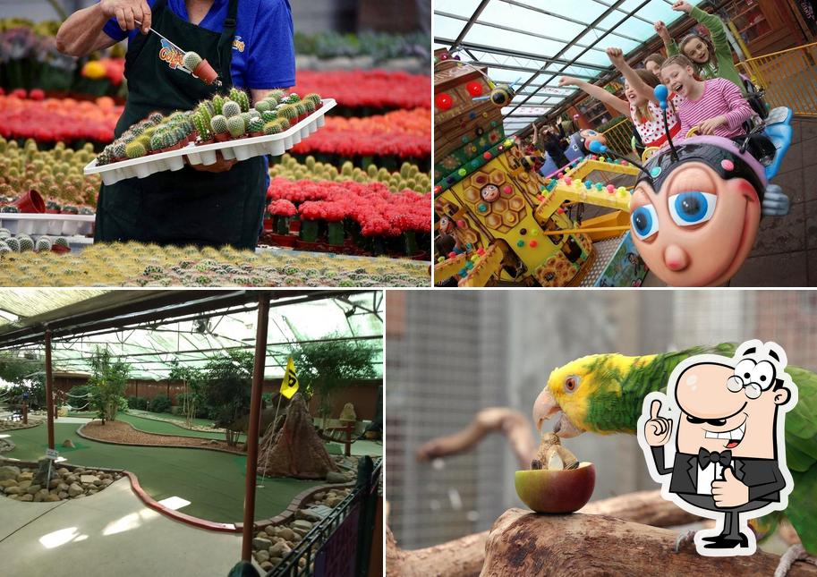 Colasanti's Tropical Gardens, Kingsville - Restaurant menu, prices and ...