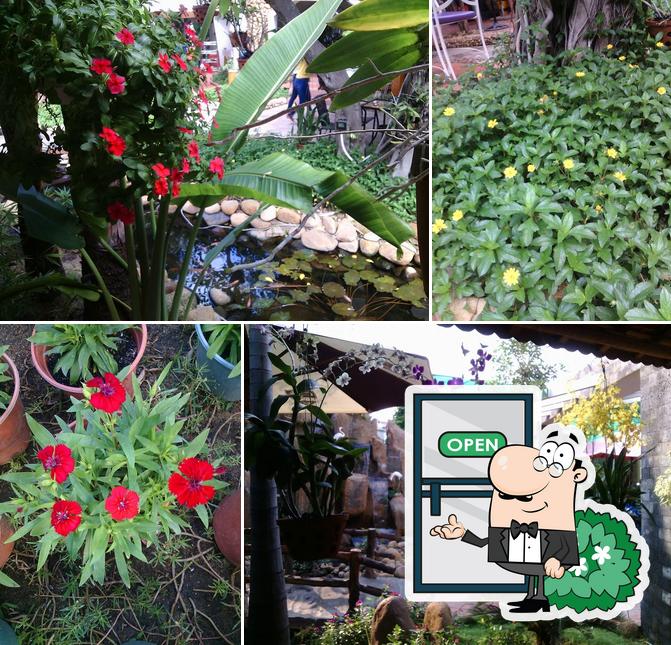 Coffee Heo May cafe, Ninh Hòa, 62 Bà Triệu - Restaurant reviews