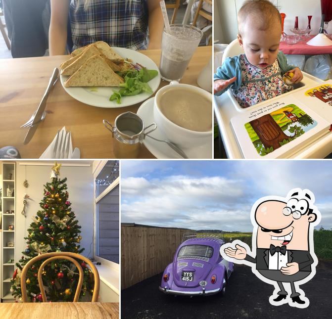 Drift Cafe in Cresswell - Restaurant reviews