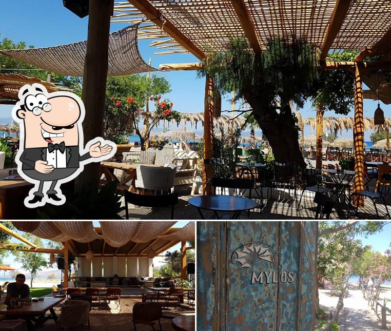 Mylos Beach Bar & Restaurant, Kos - Restaurant reviews